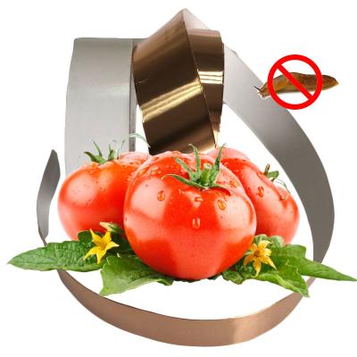 China ATC6020 Aaron Copper Tape Slugs and Snails Natural Repellent Manufacturer/Supplier/Factory for sale