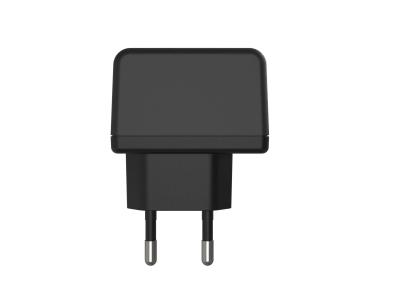 Cina 19g porta USB 5V 1A, caricatore della parete 50 60Hz per il telefono in vendita