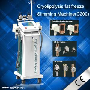 China Vacuum RF Cavitation Cryolipolysis Body Slimming Skin Rejuvenation Machine for sale
