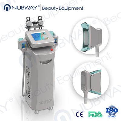 China 2019 Newest 6 handles cryolipolysis fat freezing slimming machine NBW-C325 for sale