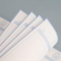 China Cute B5 Removable Notes Learning Kraft Notebook with Customized Logo and 80 Inner Sheets for sale