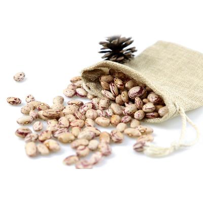 China Wholesale cheap price  light speckled kidney beans sugar bean pinto bean for export for sale