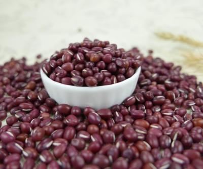 China 2018 Crop small red beans different types of pulses for sale