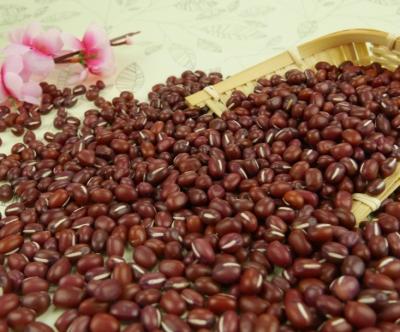 China 2018 Crop small red beans different types of pulses for sale