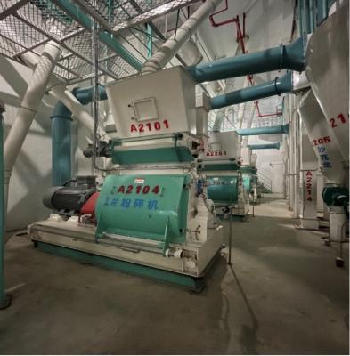 China 10T/H 15T/H High Capacity Poultry Feed Production Line / Poultry Feed Plant /Poultry Processing Equipment Turnkey Solution for sale