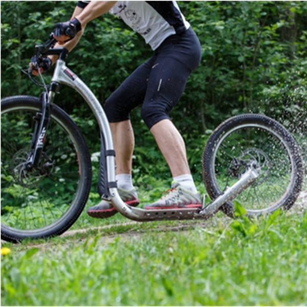 New Design Fashionable Adult Kick Scooter/Dog Scooter/ Street Footbike