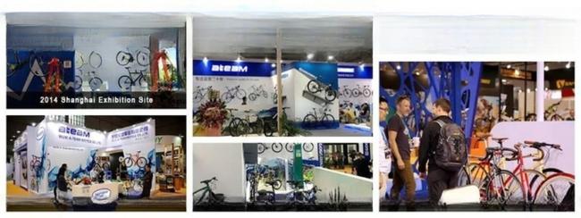 2017 New Product High Quality City Bicycles (CTB11)