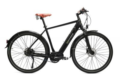 Quality Electric Hybrid Bike with Low Price for sale