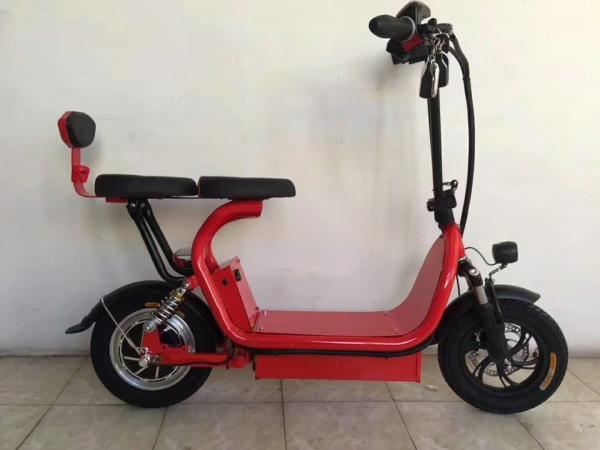 Quality 2018 Super Light Folding Electric Bike/Electric Bicycle/Ebike for sale
