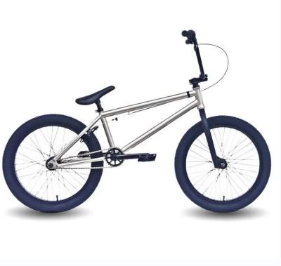 Quality 20 Inch Freestyle BMX Bicycle for sale