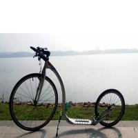 Quality New Design Fashionable Adult Kick Scooter/Dog Scooter/ Street Footbike for sale