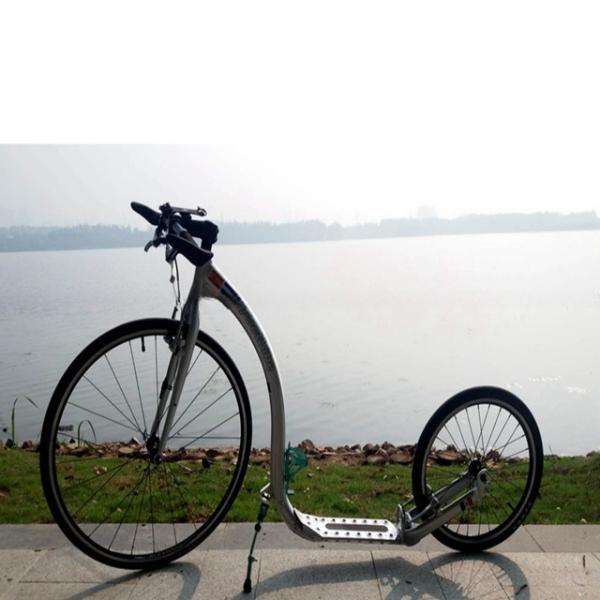 Quality New Design Fashionable Adult Kick Scooter/Dog Scooter/ Street Footbike for sale