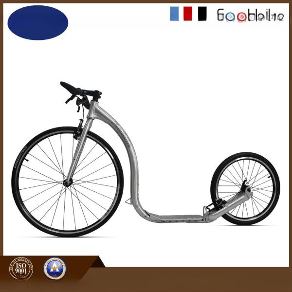 Quality Hot Selling Adult Kick Scooter/ Foot Bike/Kick Bicycle/Excise Scooter for sale