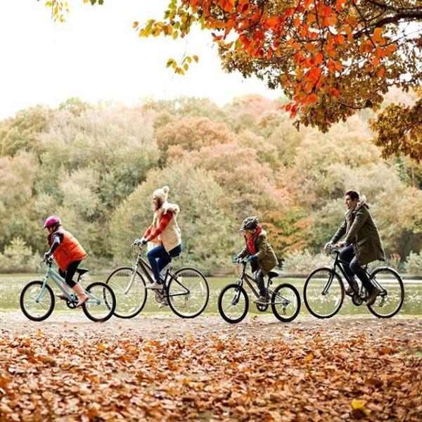 Quality 2017 New Product High Quality City Bicycles (CTB11) for sale