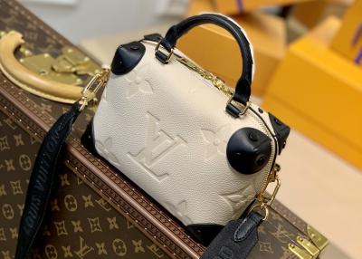 Cina Autunno minuta della stampa 2021 del leopardo della borsa di LV M58518 Malle Souple del quadrato in vendita
