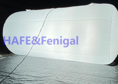 中国 気球二重色12kWのタングステン ハロゲンをつけるDimmableの温度のフィルム 販売のため