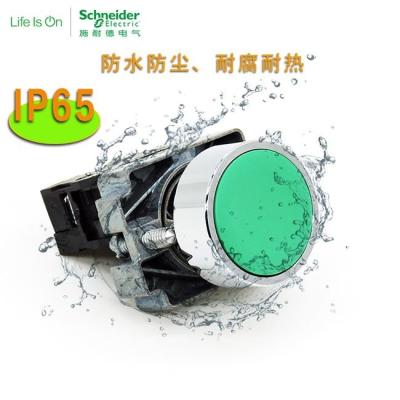 China XB2B Push Button Switch Industrial Electrical Controls Illuminated Flush Head 24v 230v 1NO1NC for sale