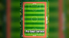 Si PU Court System: Pro Sports Surfaces