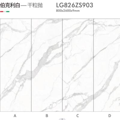 Cina Porcellana finitura lucidata vetrata per precisione e produzione rapida in vendita