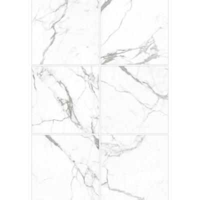 Cina Piastrelle di porcellana vetrata matt personalizzate con assorbimento dell'acqua dello 0,05% in vendita