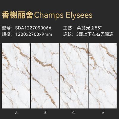 Cina Macchina di formazione di piastrelle lucidate vetrate per piastrelle beige entro il vostro budget in vendita