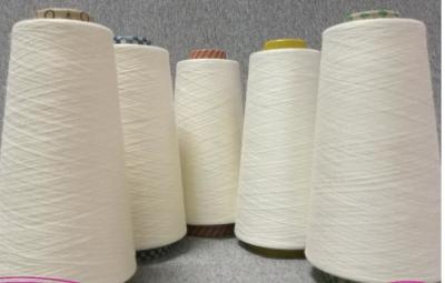 China cotton modal blended yarn for knitting or for weaving in good quality with soft touch,very comforatable for sale
