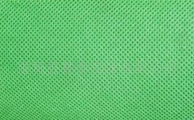 China Low price 100%PP agriculture spunbond nonwoven fabric for plant over wintering from Chinese manufacturer for sale