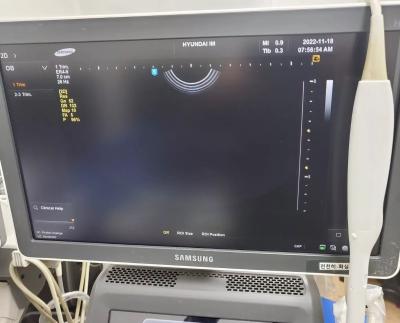 중국 삼성 메디슨 H60 인트라카비티 어레이 오리지널 초음파 탐사기 ER4-9 판매용