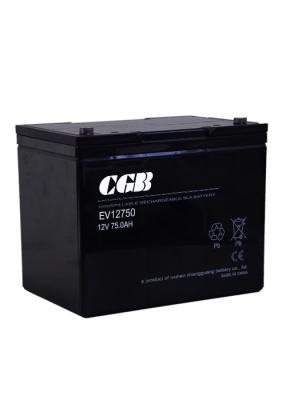 China Recycling Valve Regulated Lead Acid Battery 12V 75AH For UPS / EPS System for sale