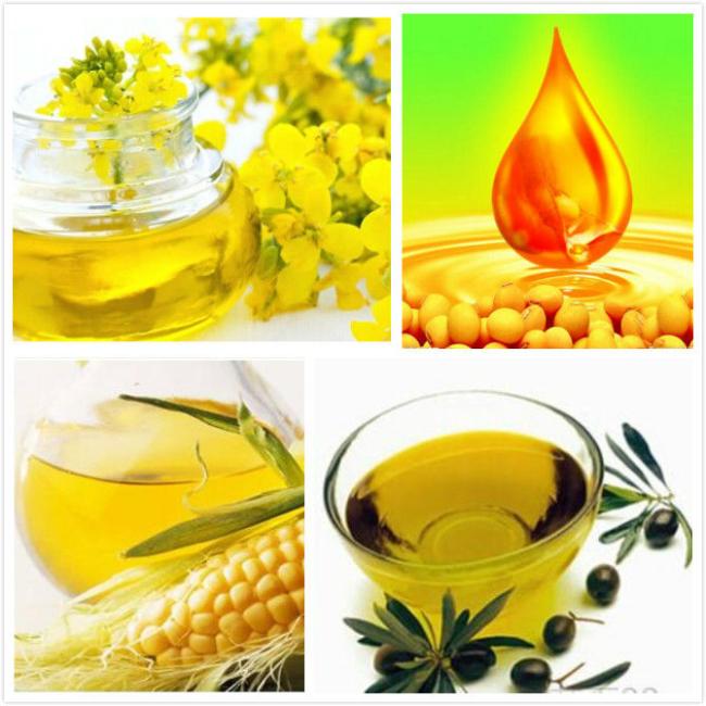 NYB high efficiency closed plate type liquid oil filter machine vertical pressure leaf filter