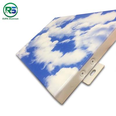 Cina Mattonelle di alluminio commerciali esterne della parete del metallo del cielo blu di Art Deco Metal Panels Screen in vendita