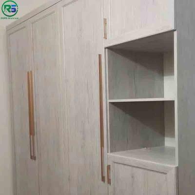 Cina Governo di alluminio a forma di t del sistema di trasportatore per la decorazione interna con bianco e dorato in vendita