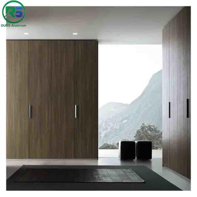 Cina Modern Aluminum Cabinet with Fluorocarbon Spraying And Black Aluminum Cabinet System in vendita