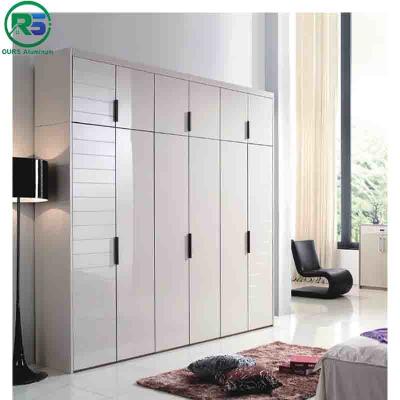 Cina Modern Aluminum Cabinet with Fluorocarbon Spraying And Black Aluminum Cabinet System in vendita