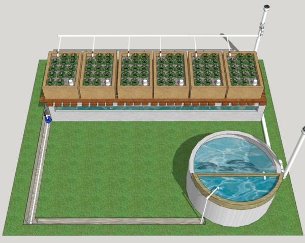 Quality Intelligent Recirculating Aquaponics System with Food Grade PP/PE and 90% Water Saving for Indoor Gardens for sale