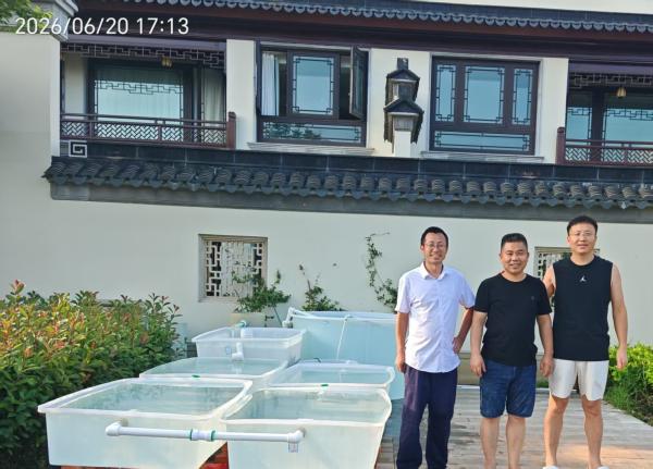 Quality Intelligent Recirculating Aquaponics System with Food Grade PP/PE and 90% Water Saving for Indoor Gardens for sale