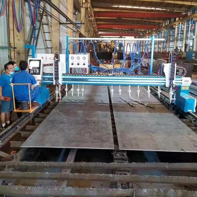 Cina 2060 Macchina per il taglio al plasma a fiamma del cavalletto dell'attrezzatura per il taglio della fiamma del metallo del piatto dell'acciaio inossidabile pesante in vendita