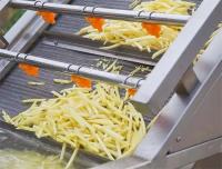 China Automatic Potato Chips Making Machine 380V 15KW Small Scale Food Processing Line for sale