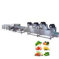 China ANXU Automatic Fresh Fruit Vegetable Processing Machine 300-1000kg/h Capacity 380V Industrial Grade for sale
