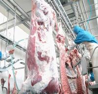 China ANXU Stainless Steel 304 Cow Processing Machine 7.5KW 10-400 Heads Capacity for Slaughterhouse Operations for sale