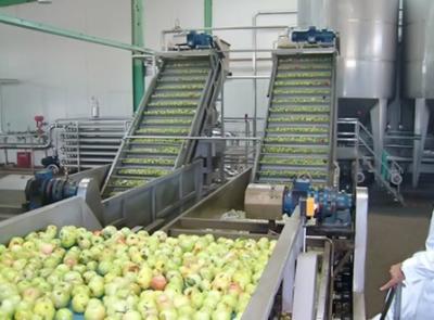 China Automatic mango Fruit Juice Processing Line  Fresh Fruit Complete Juice Production Line for sale