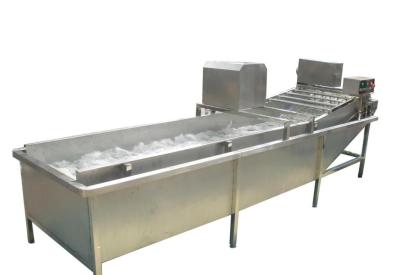 China Automatic Complete Fruit Mango Juice Plant Orange Pineapple Mango Juice Production Line for sale