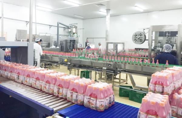 Quality Automatic Commercial Coconut Milk Mango Juice Production Line 220V for sale