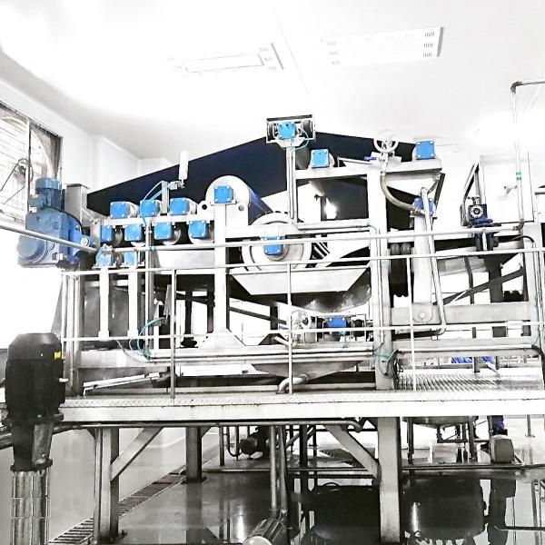 Quality 2000KG Seedless Mango Juice Processing Plant Automatic 75kw for sale