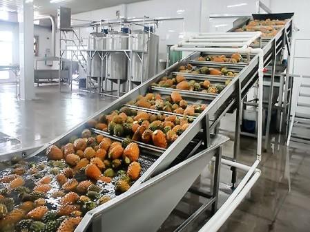 Quality Fully Automatic Fruit Juice Manufacturing Plant Stainless Steel Material for sale