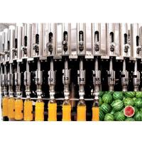 Quality SUS304 Stainless Steel Juice Processing Line For Tomato Paste /Jam for sale