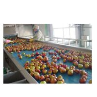 China Fully Automatic Vegetable Juice Processing Unit 75kW 380V Stainless Steel Industrial Equipment 15000×1000×900mm for sale
