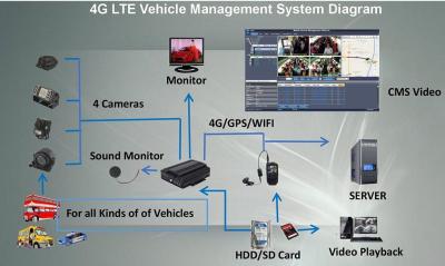China WIFI 8 Channel Vehicle Security Camera System With GPS Tracking / Video Display for sale