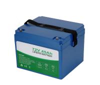 China Lifepo4 Golf Cart Battery for sale
