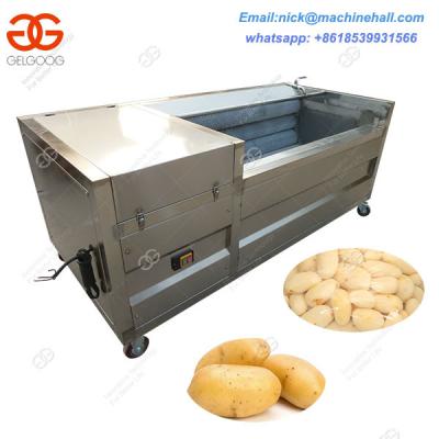 China Hot Sale Brush Type Washer and Peeler Machine|Easy Operate Brush Washer and Peeler Machine for sale